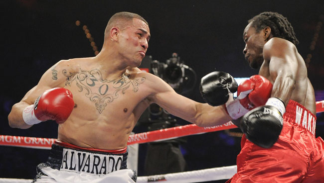 Mike Alvarado takes on Mauricio Herrera | MyBoxingFans - Boxing News